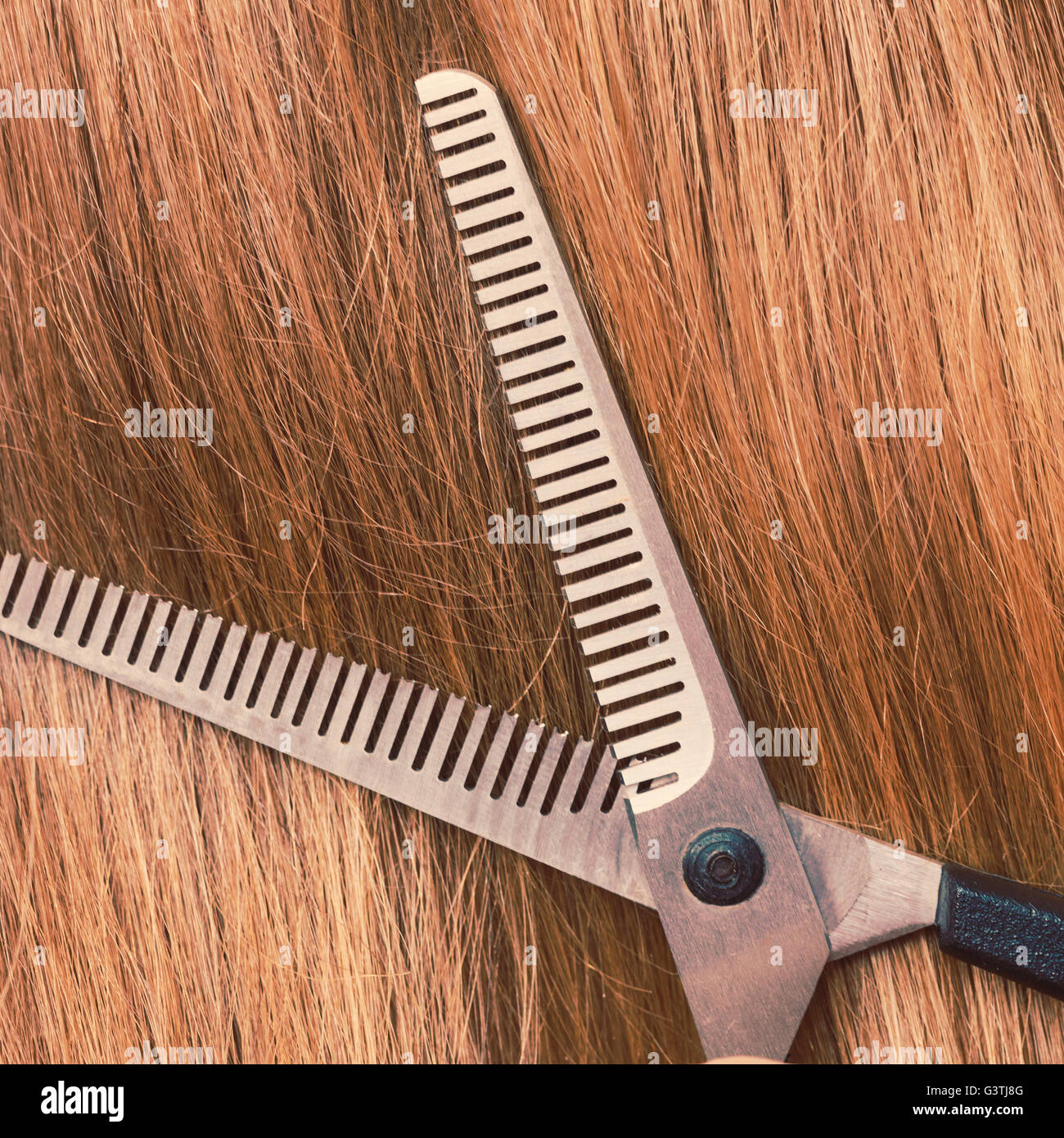 Professional cutting and barber shop. Close up of detail equipment ...