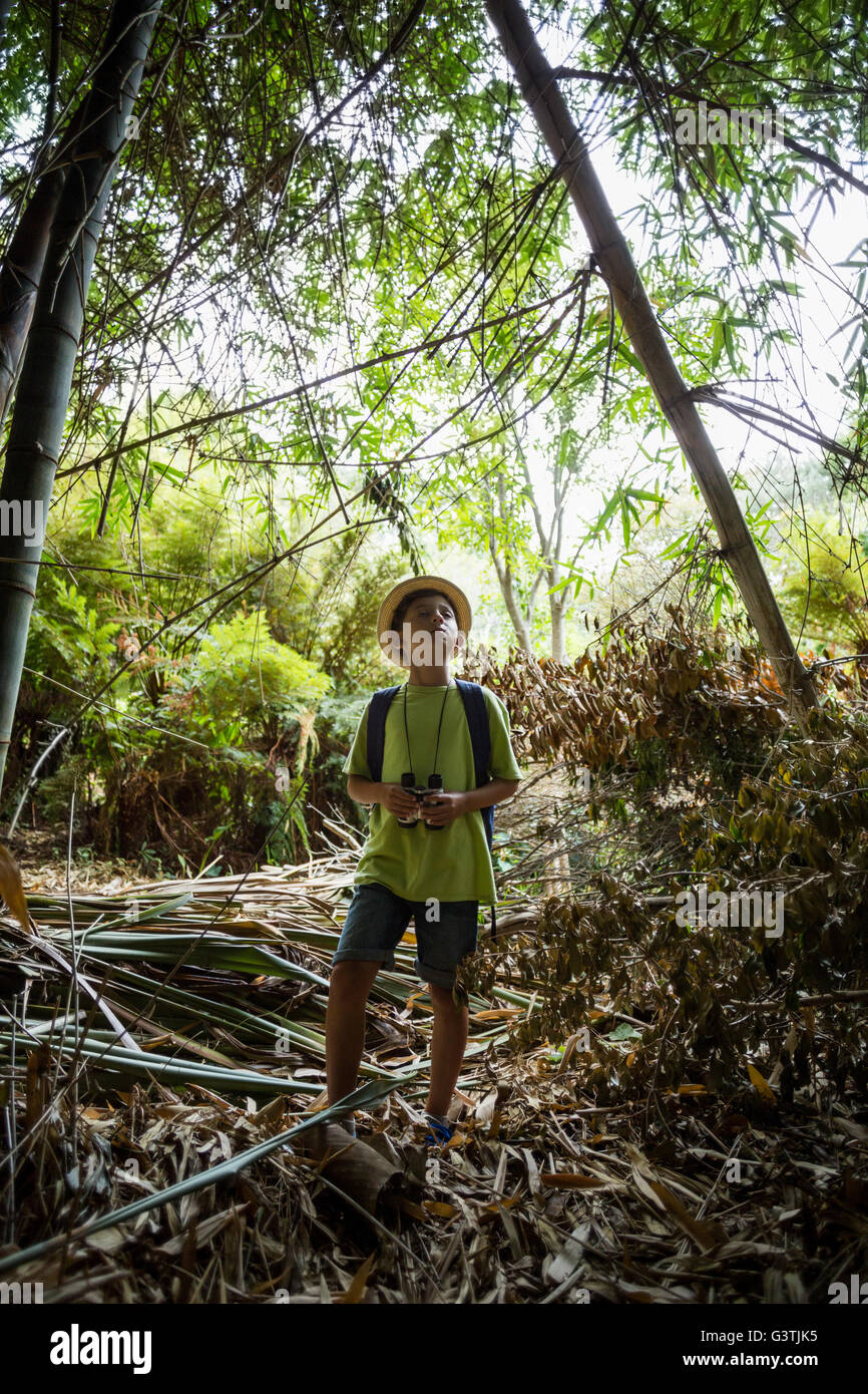 Boy standing in forest Stock Photo - Alamy