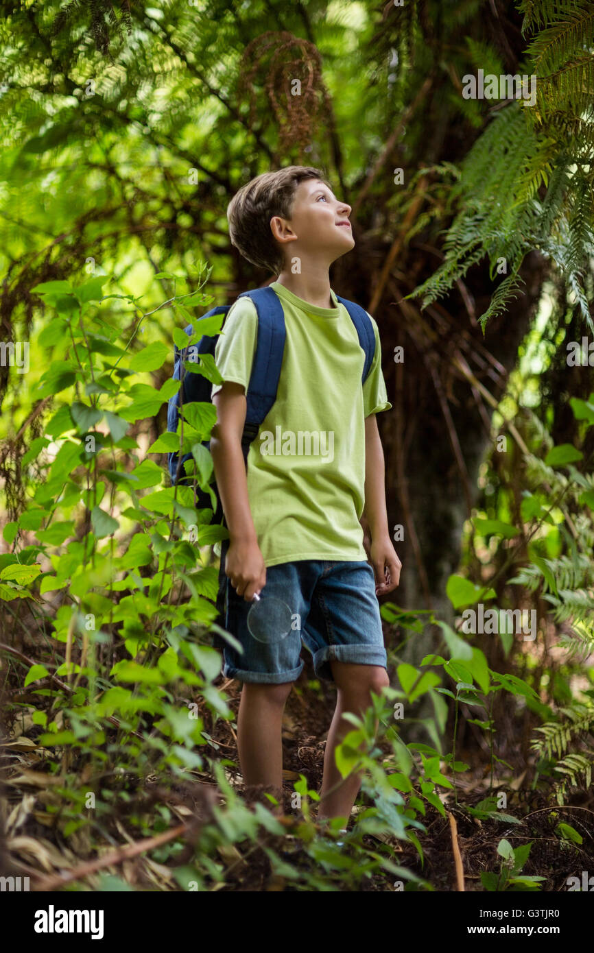 Boy standing in forest hi-res stock photography and images - Alamy
