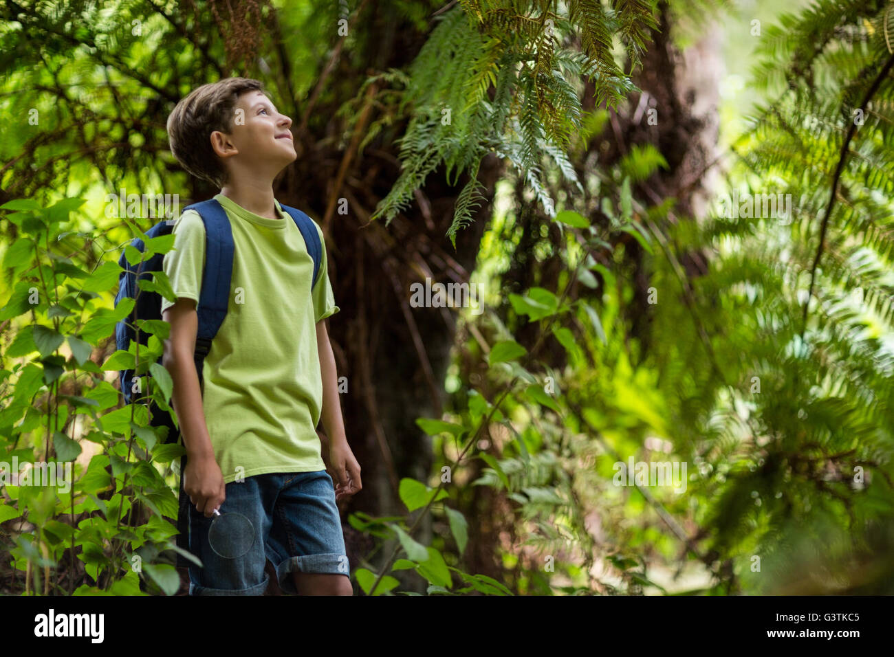 Boy standing in forest Stock Photo - Alamy