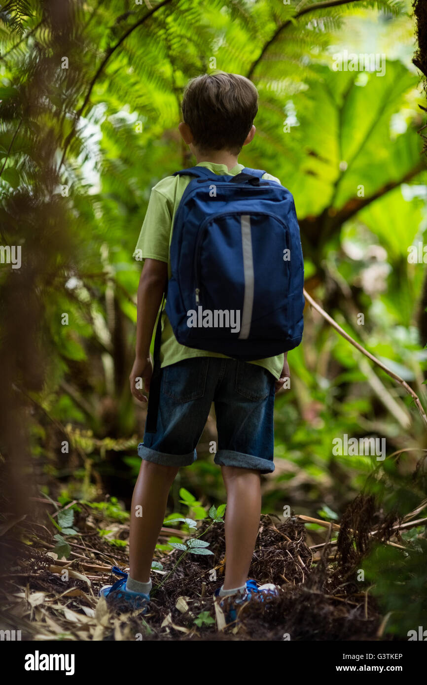 Boy standing in forest Stock Photo - Alamy