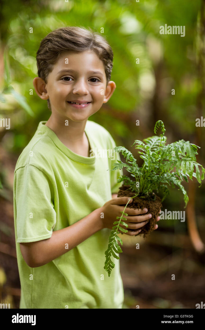 Boy holding sapling plant Stock Photo - Alamy