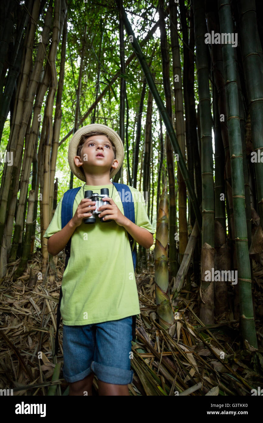 Boy standing in forest Stock Photo - Alamy