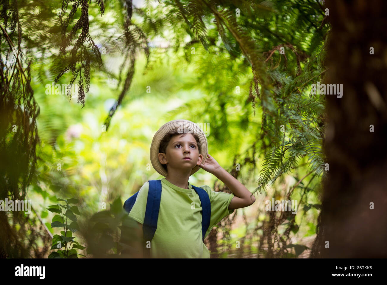 Boy standing in forest Stock Photo - Alamy