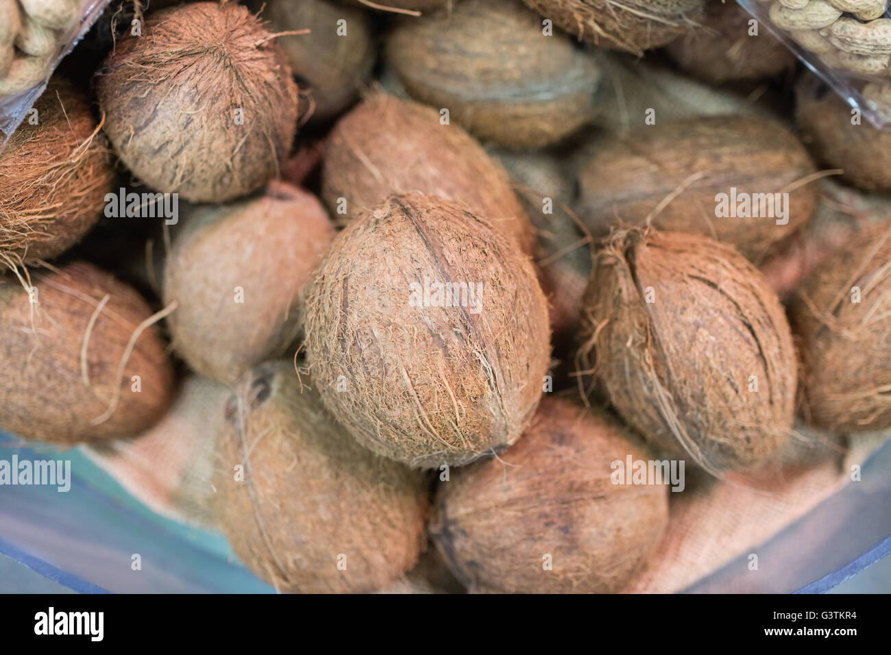 Close up of big coconuts Stock Photo - Alamy