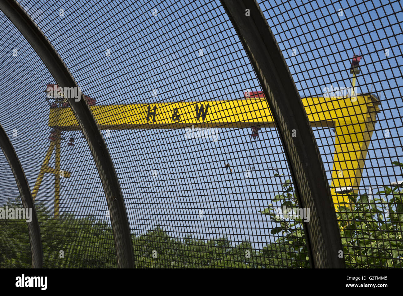 Harland & Wolff The Samson and Goliath gantry crane Stock Photo - Alamy