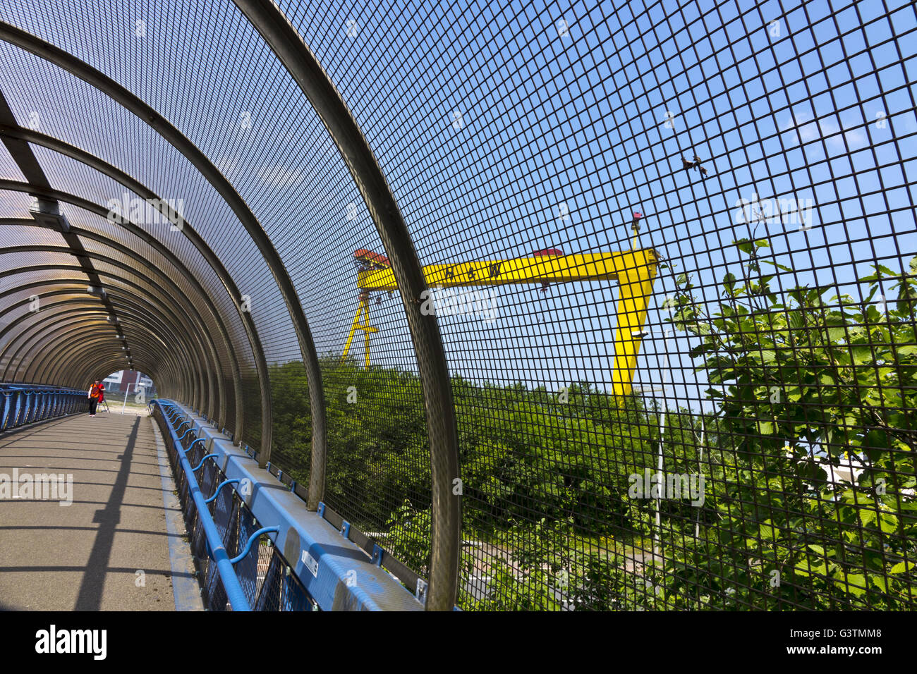 Harland & Wolff The Samson and Goliath gantry crane Stock Photo - Alamy