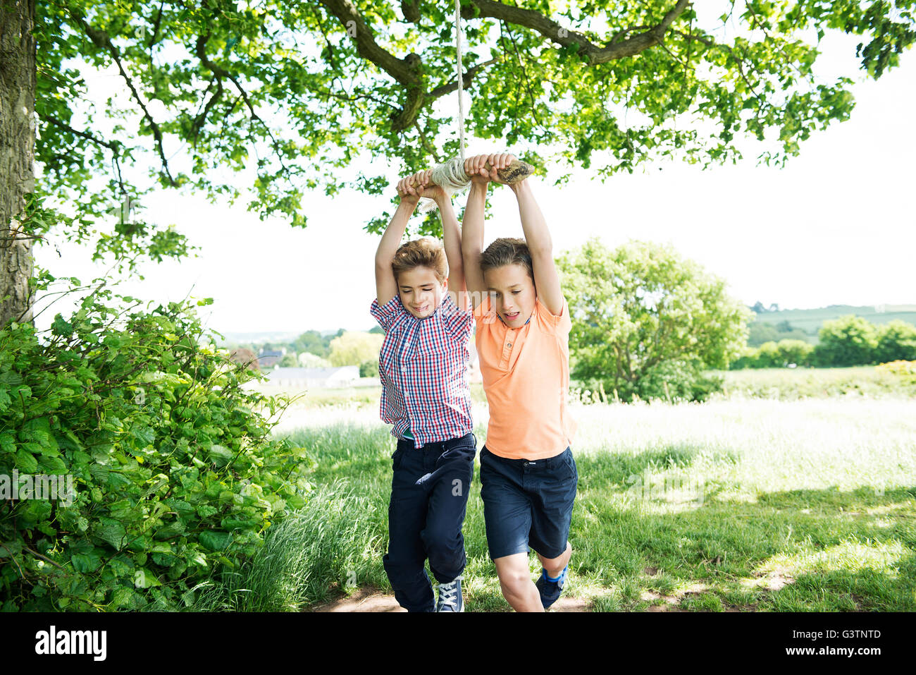 Two boys playing on a swing in the countryside Stock Photo - Alamy