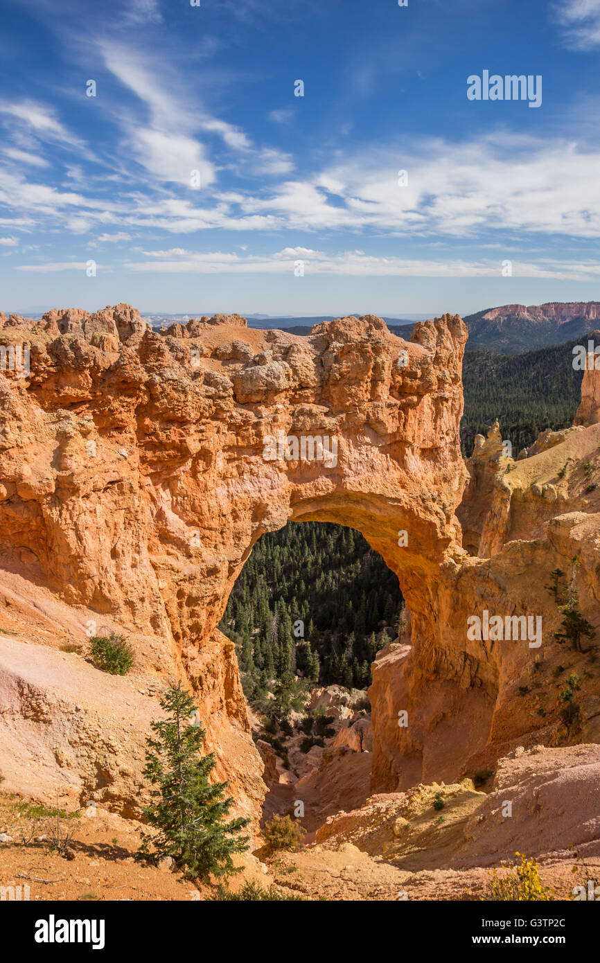 Natural bridge in Bryce Canyon National Park, Utah, USA Stock Photo - Alamy