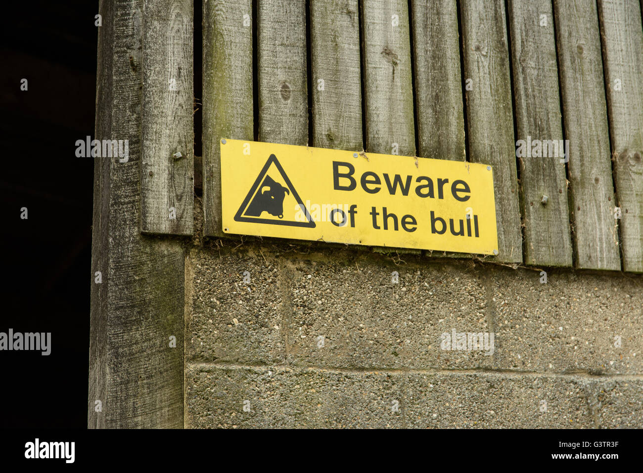 Beware of the Bull Sign on Farm Building Stock Photo - Alamy