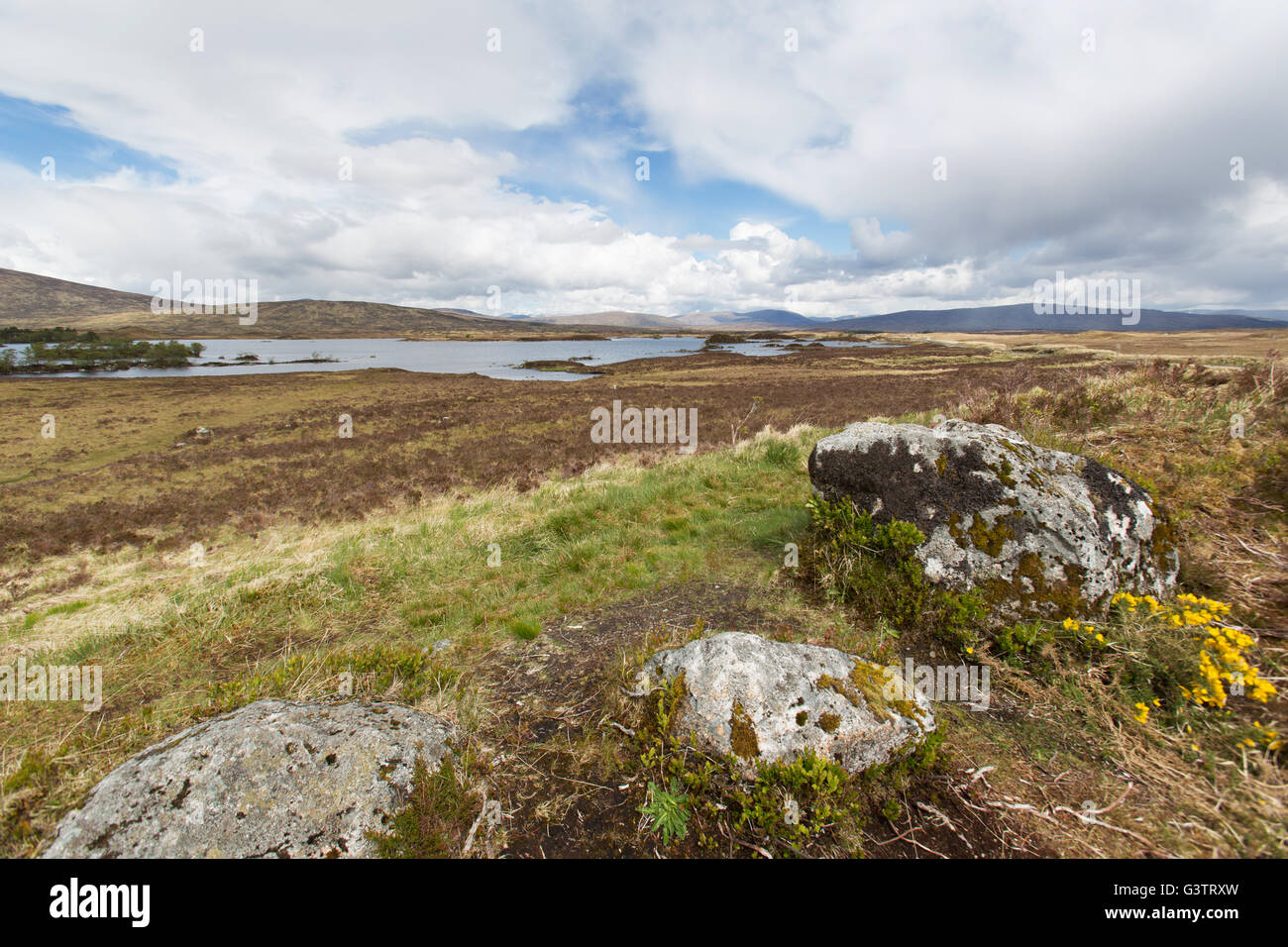 Grampians, Scotland. Picturesque view of Loch Tulla with the Black ...
