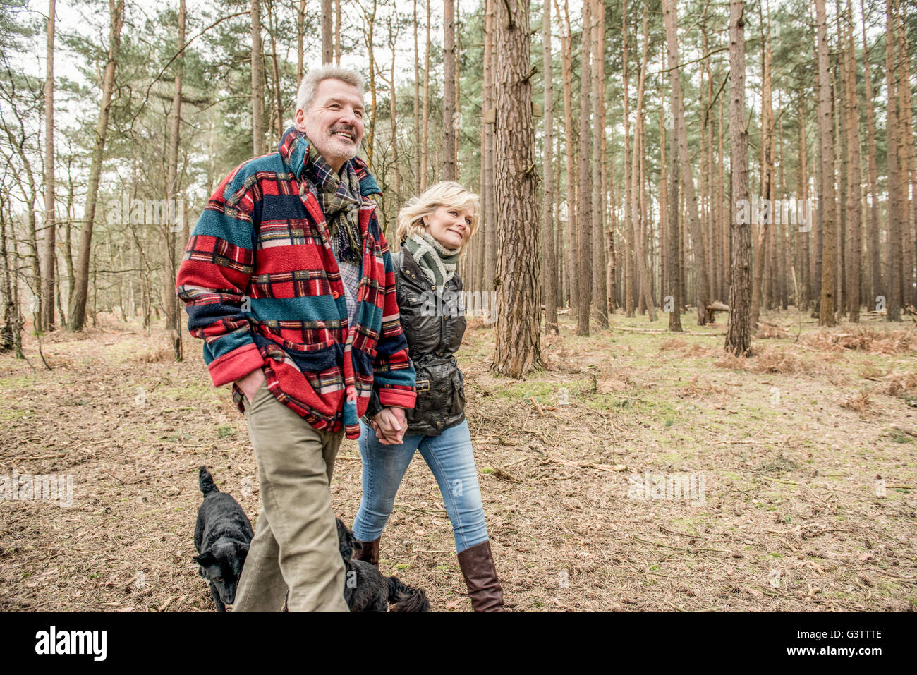 A walk in the woods hi-res stock photography and images - Alamy