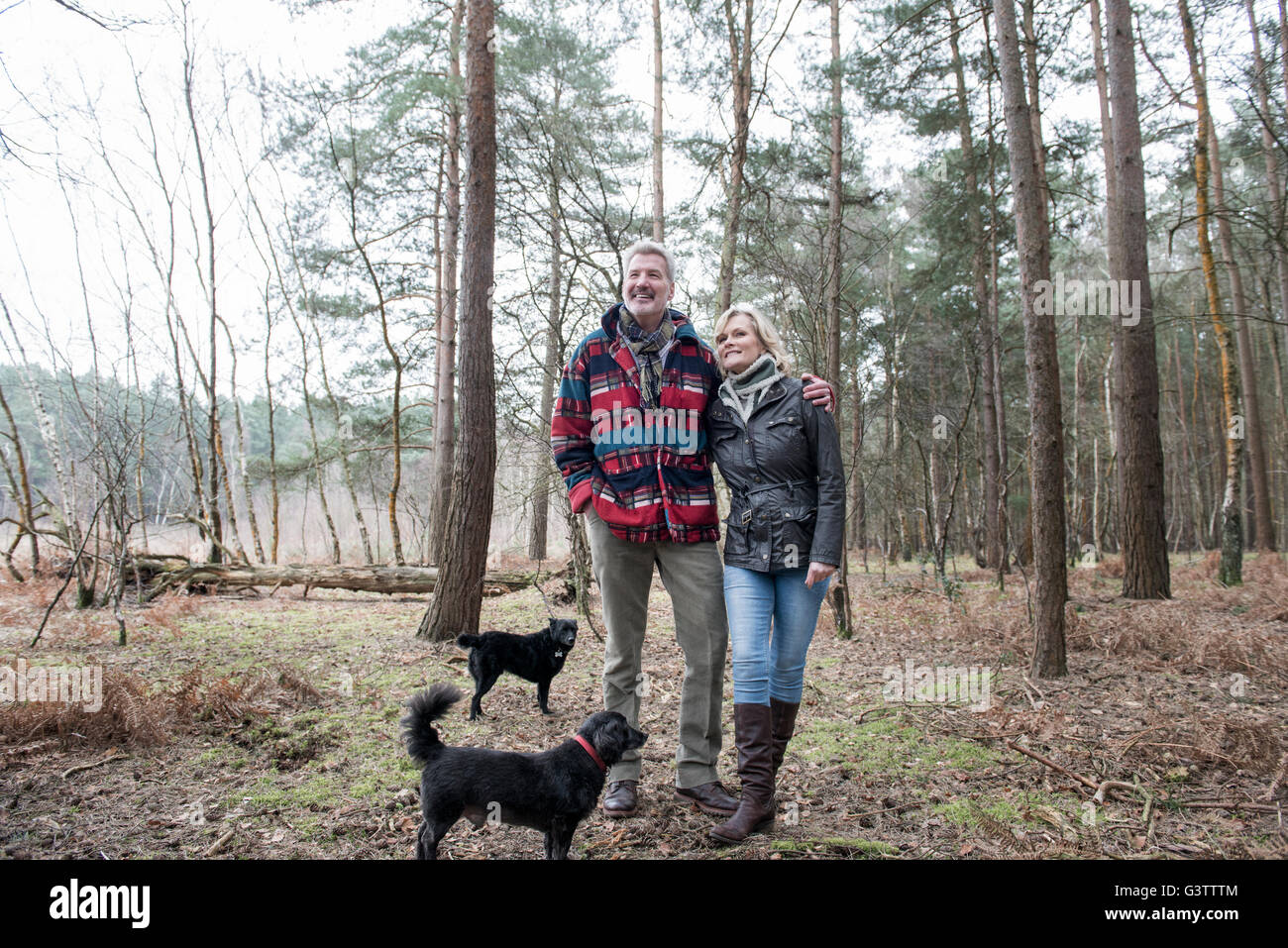A walk in the woods hi-res stock photography and images - Alamy