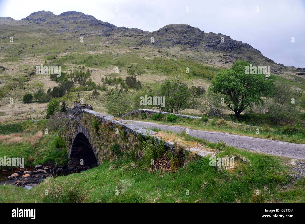 The Scottish Mountain Corbett Stob Corie Creagach from Butterbridge Car ...