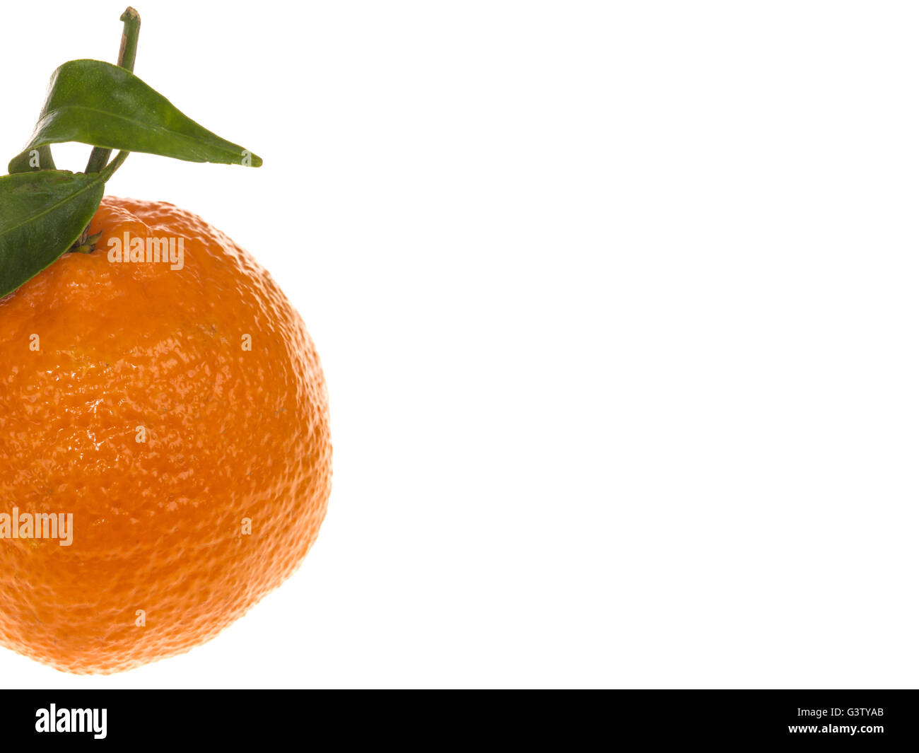 Creative Image of a Single Fresh Ripe Clementine Orange Fruit For ...