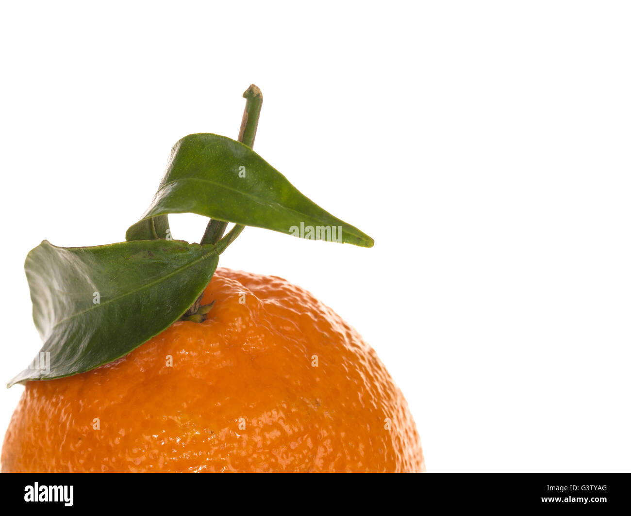 Creative Image of a Single Fresh Ripe Clementine Orange Fruit For ...