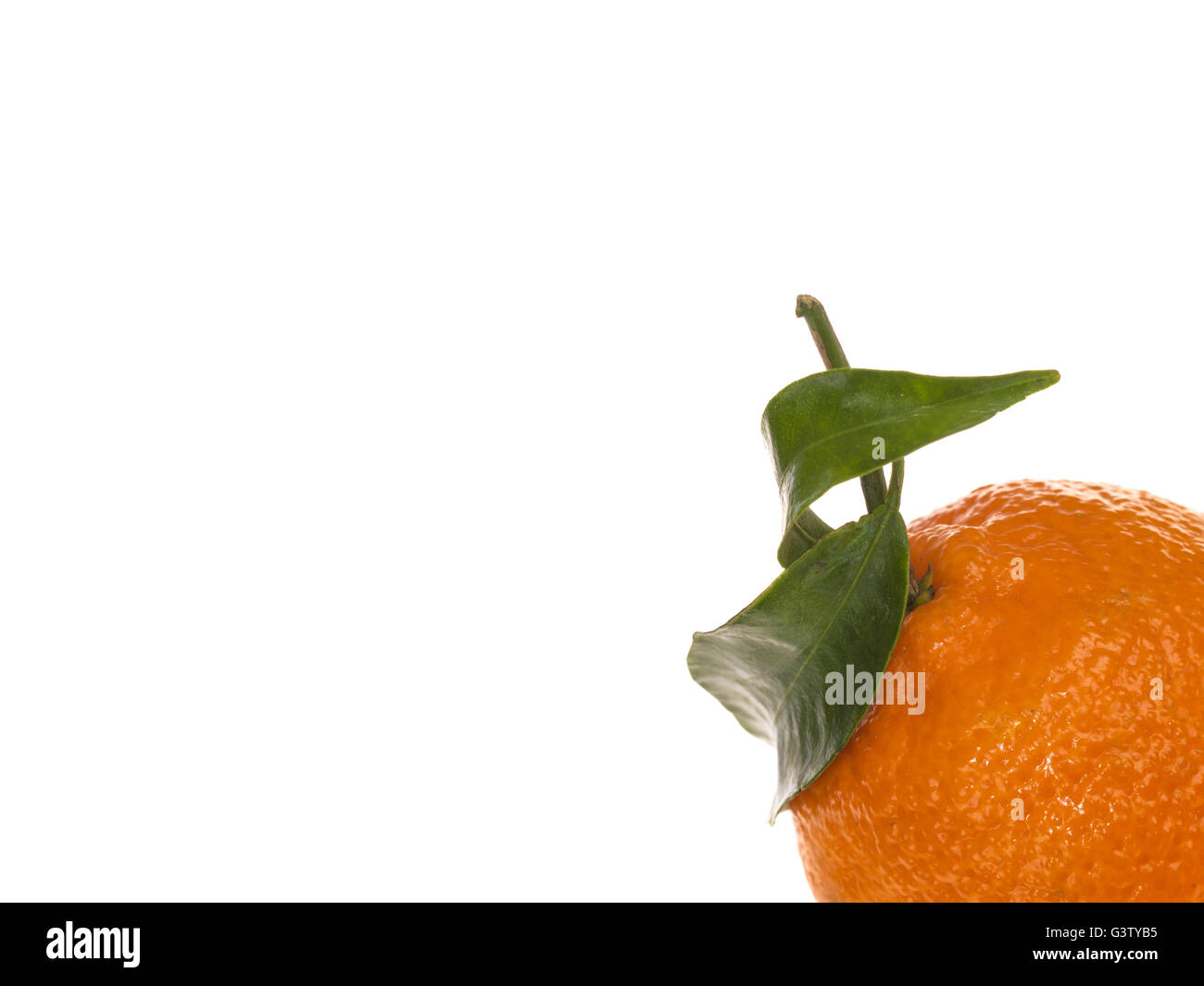 Creative Image of a Single Fresh Ripe Clementine Orange Fruit For ...