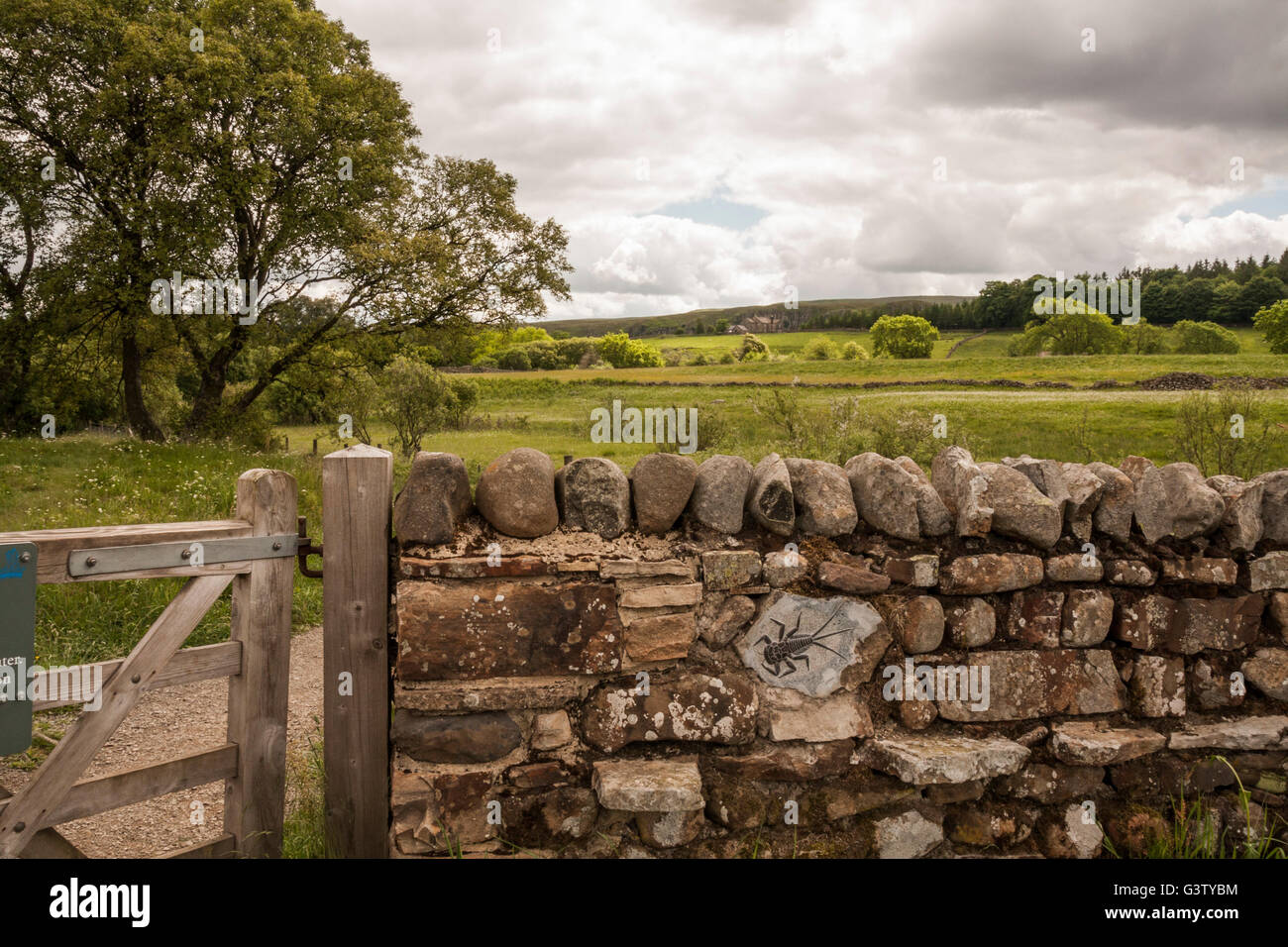 Durham hills hi-res stock photography and images - Alamy