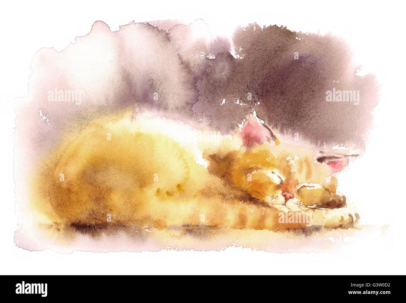 Watercolor Cat Kitten Sleeping Hand Drawn Animal Pet Portrait ...