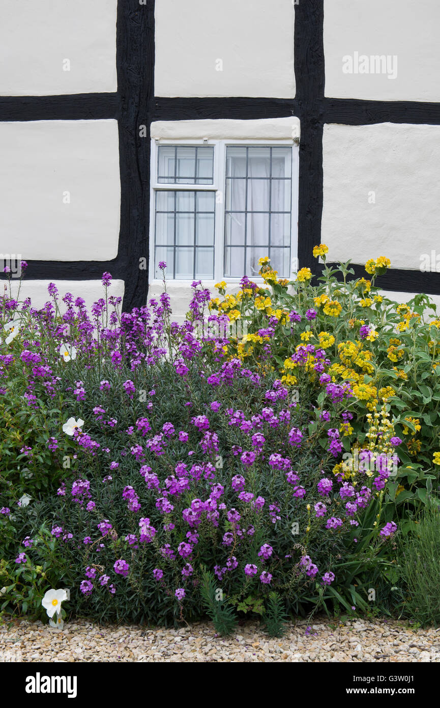 Border with timber frame hi-res stock photography and images - Alamy