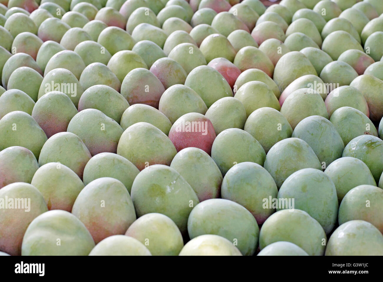 Mango r2e2 hi-res stock photography and images - Alamy