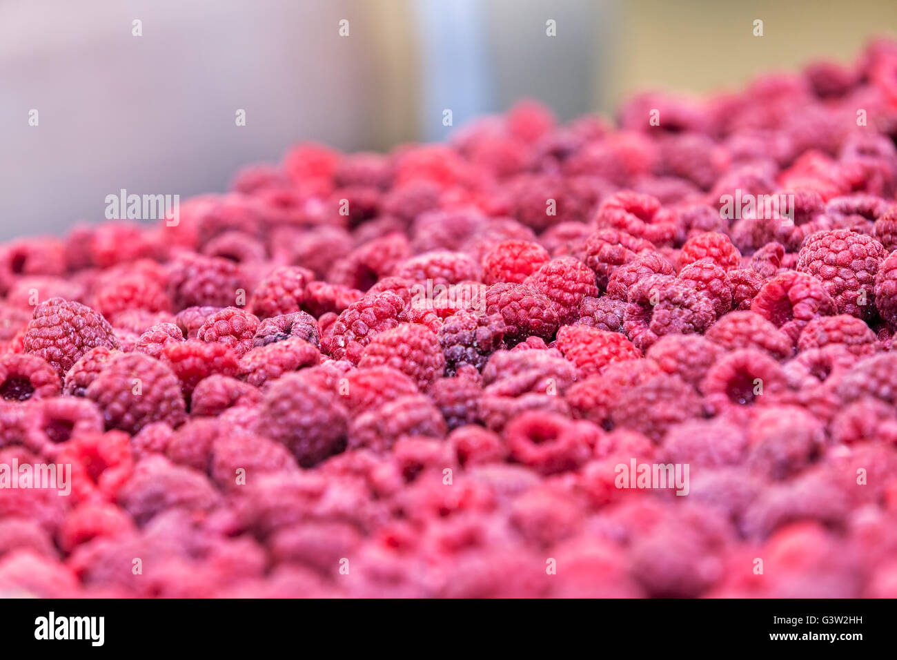 frozen red raspberries in sorting and processing machines Stock Photo ...