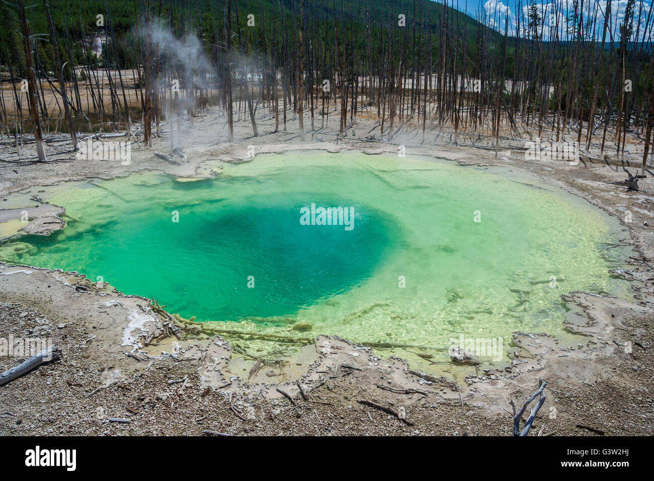 Green Cistern Spring In The Norris Geyser Basin at Yellowstone National ...