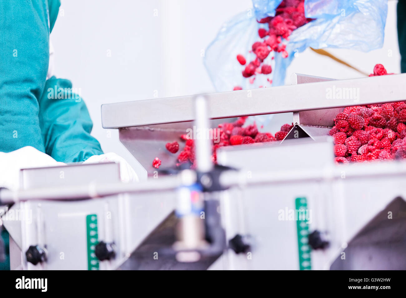 frozen red raspberries in sorting and processing machines Stock Photo ...