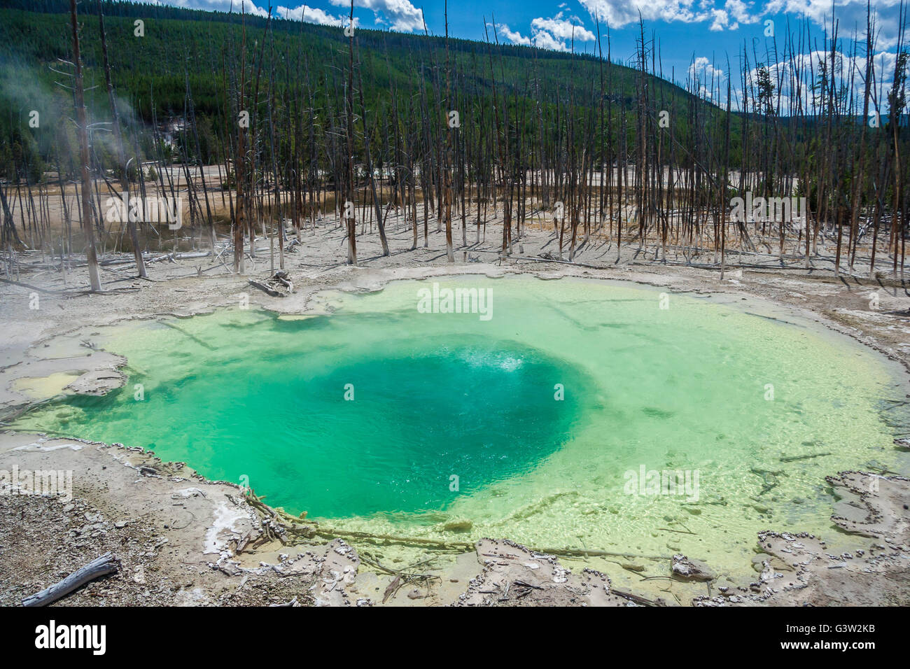 Cistern spring yellowstone hi-res stock photography and images - Alamy