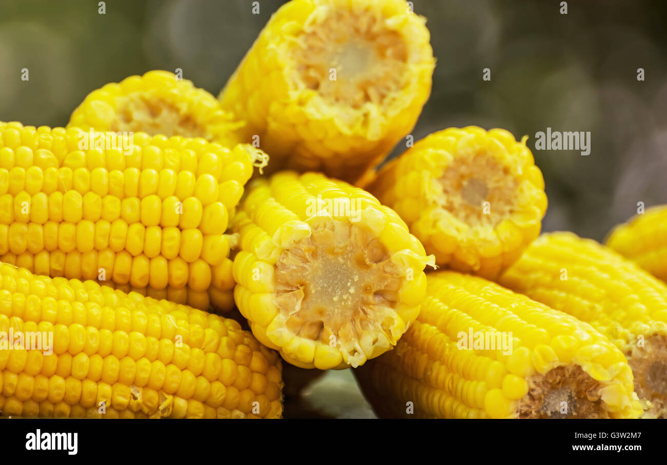 Corn on the cob. Seasonal sweet food. Fruit and vegetable. Sweetcorn ...