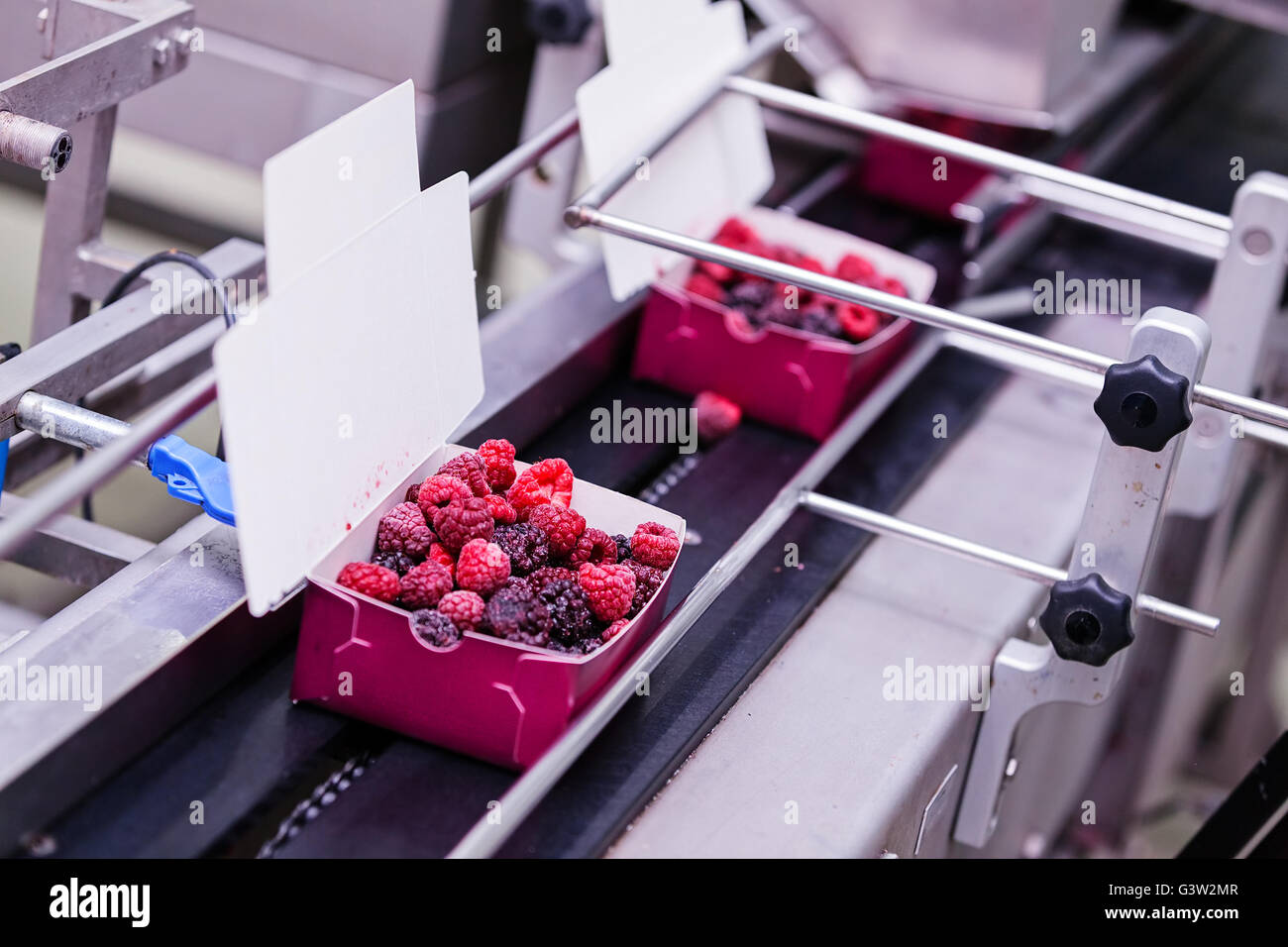Industrial processing frozen raspberries hi-res stock photography and ...