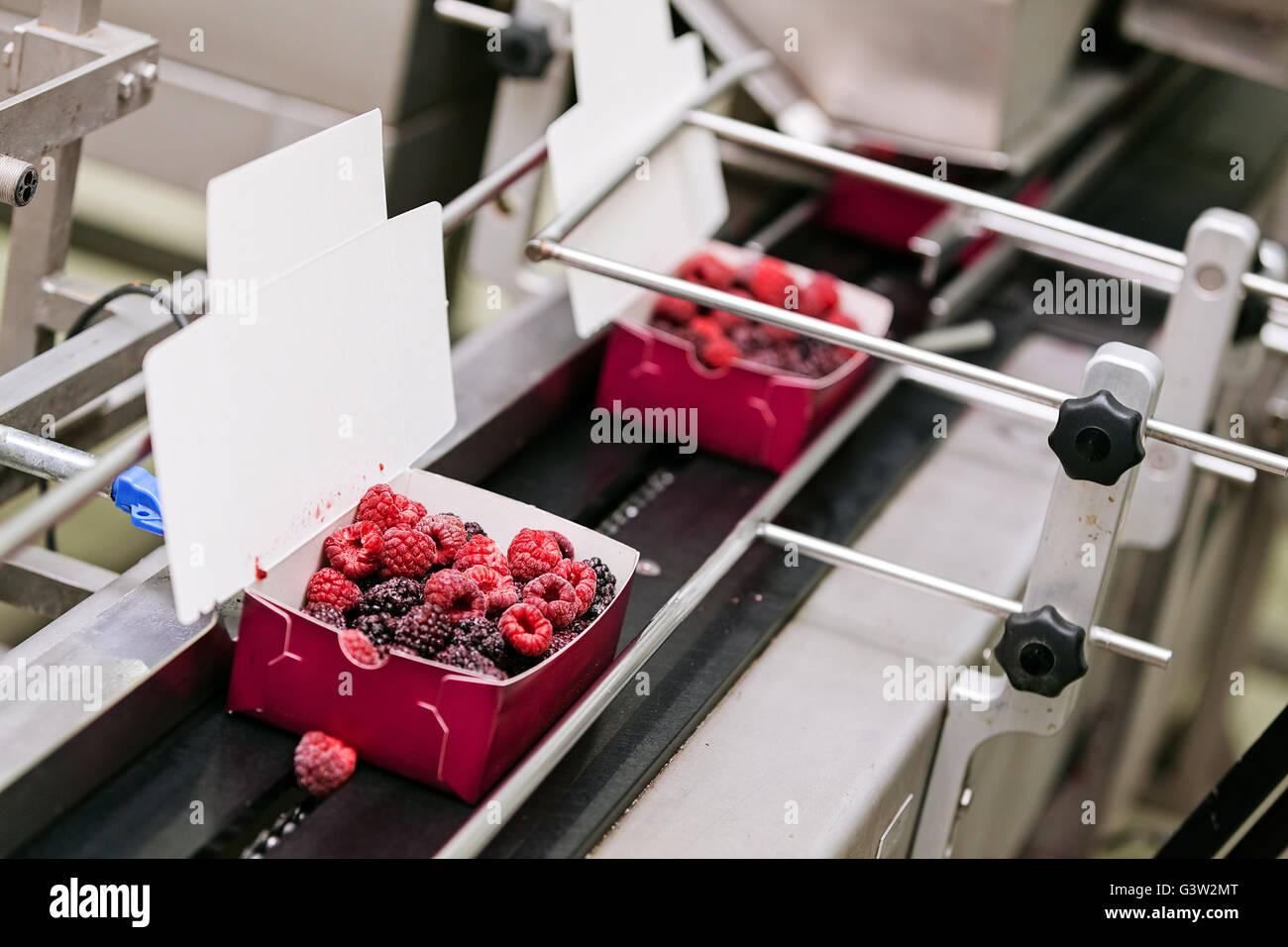 frozen red raspberries in sorting and processing machines Stock Photo ...