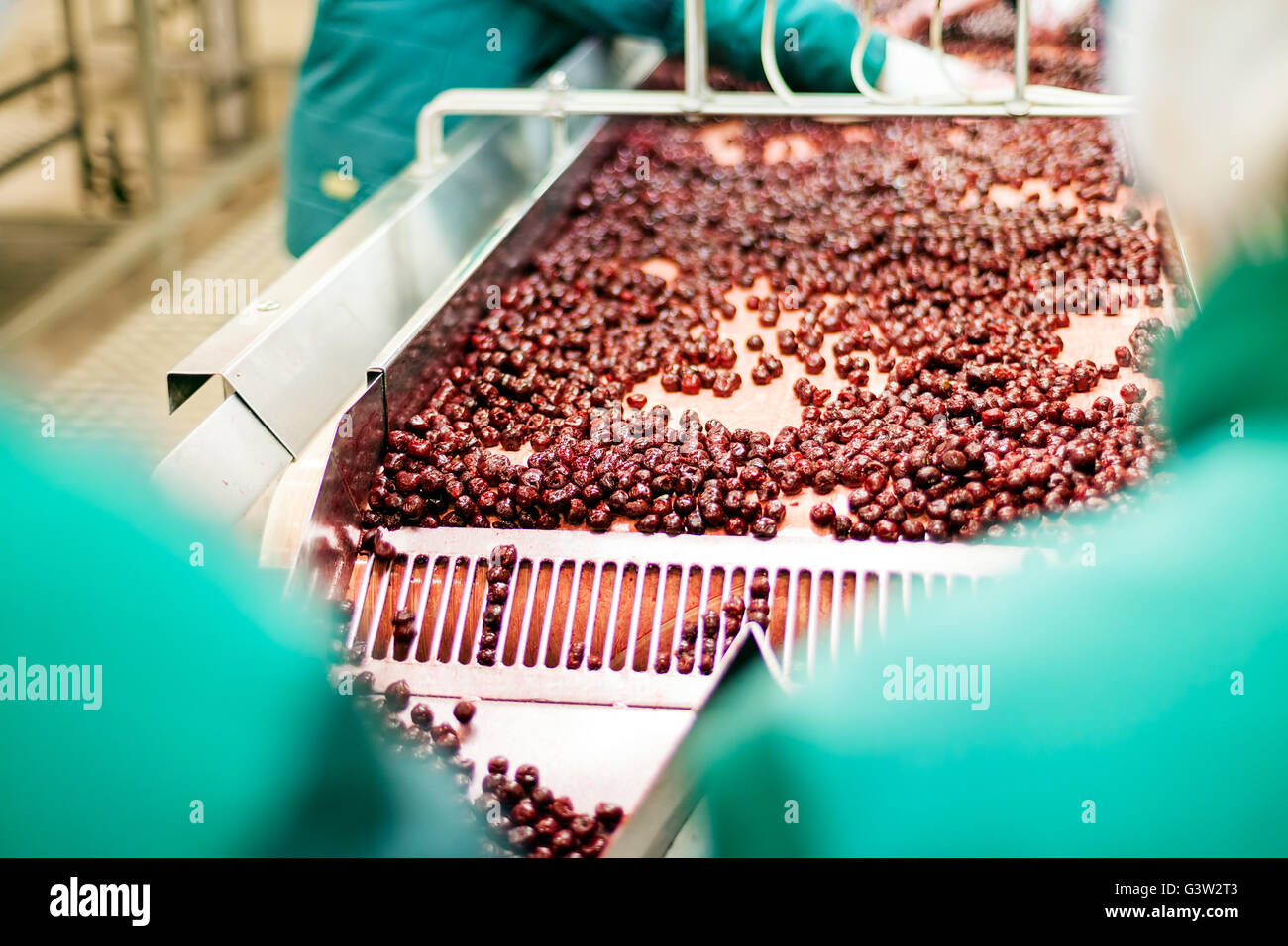 Cherry sorting machine hi-res stock photography and images - Alamy