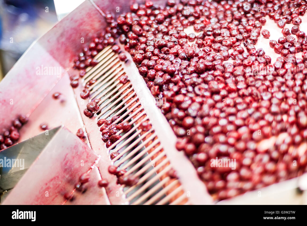 Cherry sorting machine hi-res stock photography and images - Alamy