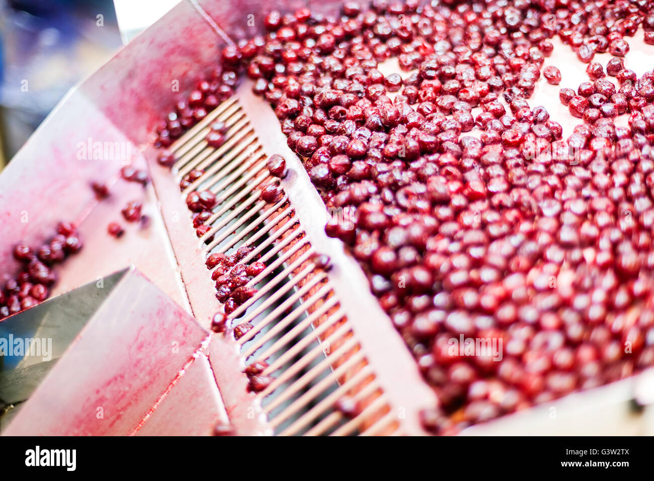 Frozen fruit processing plant hi-res stock photography and images - Alamy