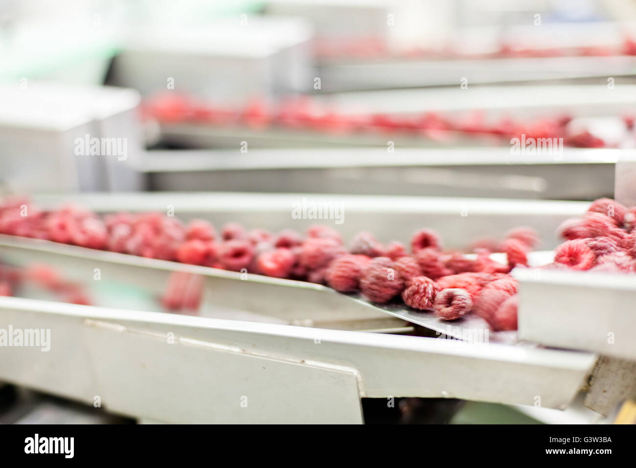 frozen red raspberries in sorting and processing machines Stock Photo ...