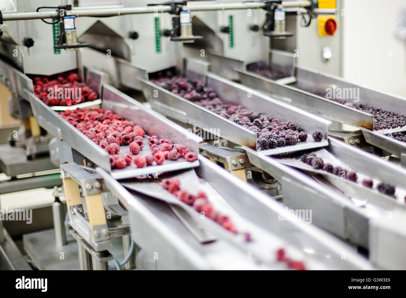 Chile sorting hi-res stock photography and images - Alamy