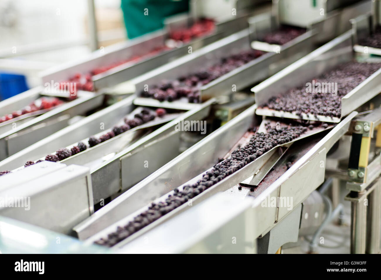 frozen red raspberries in sorting and processing machines Stock Photo ...