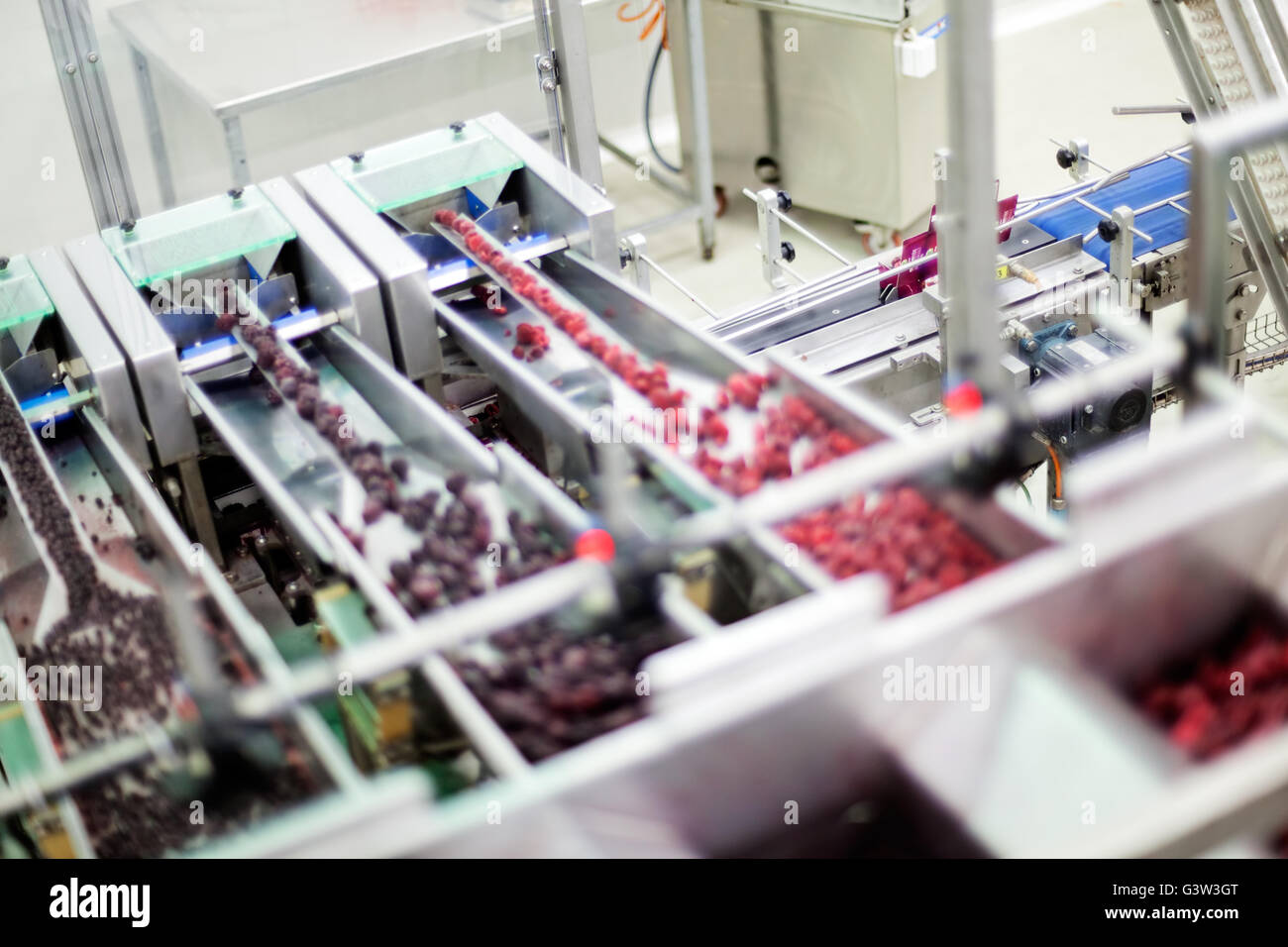 frozen red raspberries in sorting and processing machines Stock Photo ...