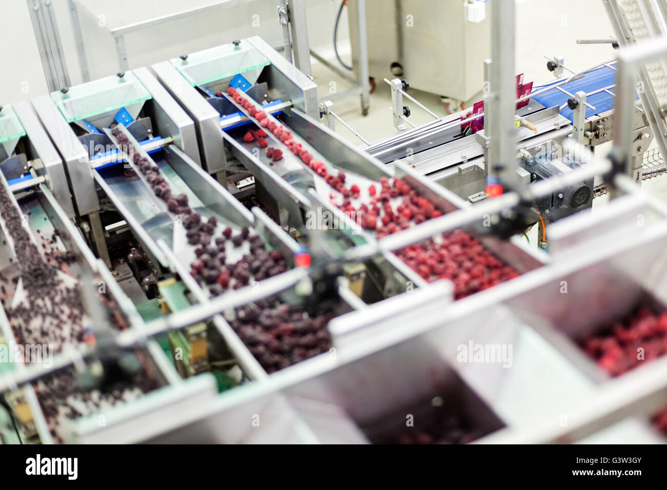 Frozen fruit processing plant hi-res stock photography and images - Alamy