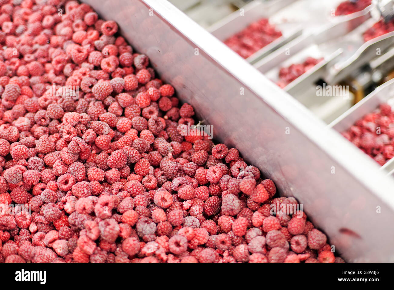frozen red raspberries in sorting and processing machines Stock Photo ...