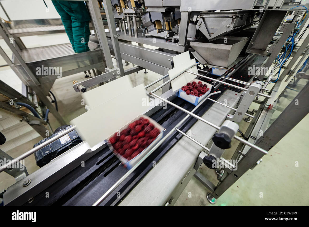 Industrial processing frozen raspberries hi-res stock photography and ...