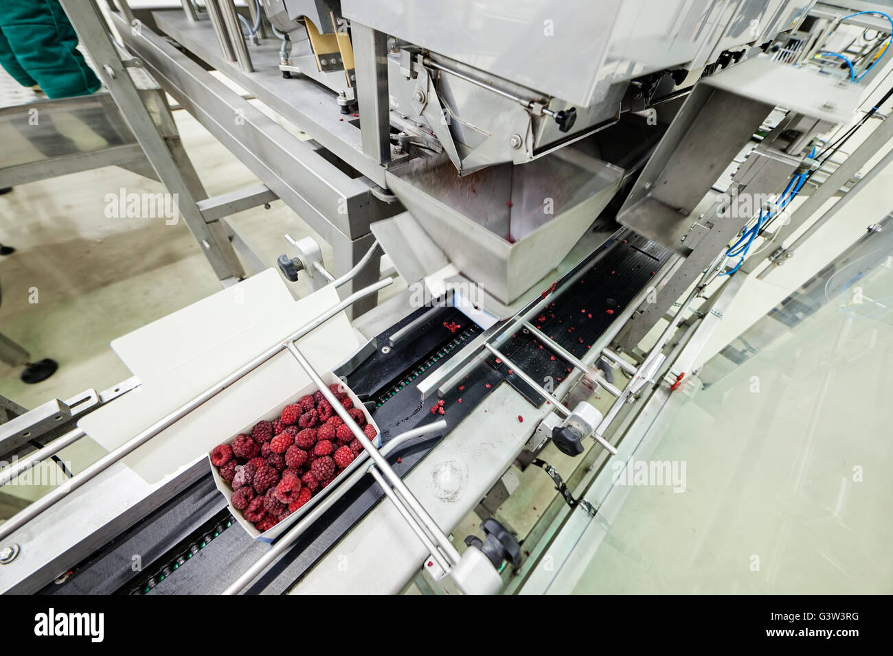 frozen red raspberries in sorting and processing machines Stock Photo ...