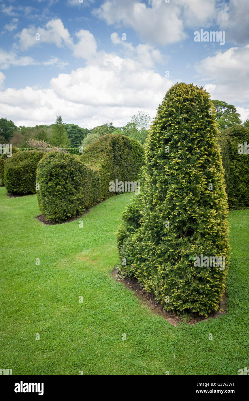 Clipped garden hedge hi-res stock photography and images - Alamy