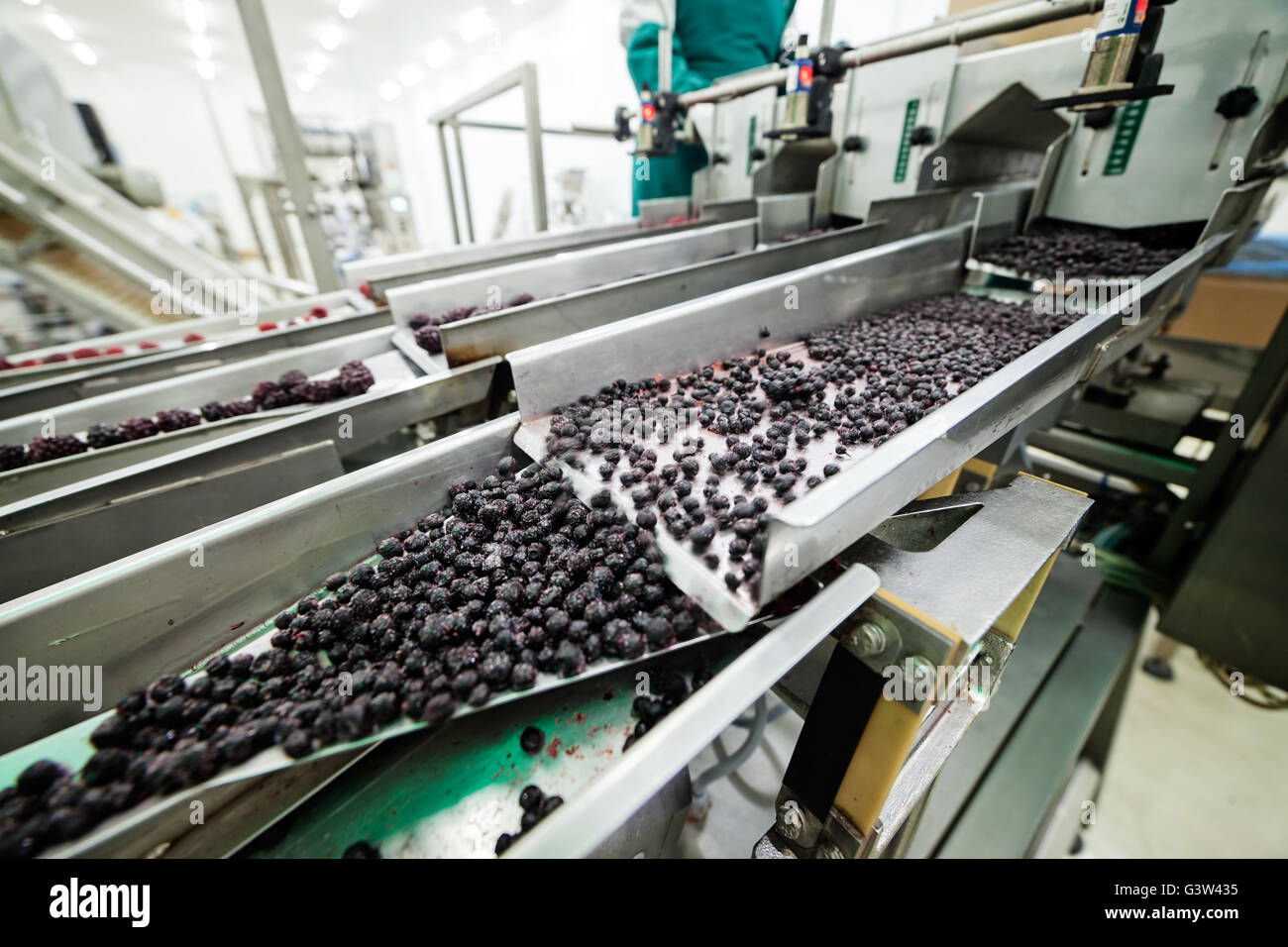 Frozen fruit processing plant hi-res stock photography and images - Alamy