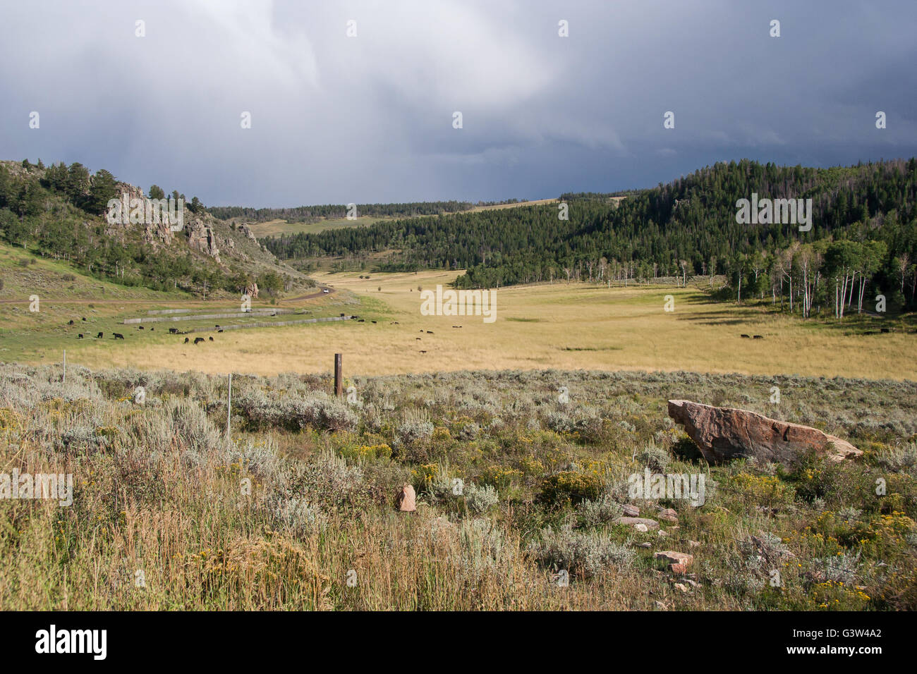 Colorado dairy farm hi-res stock photography and images - Alamy