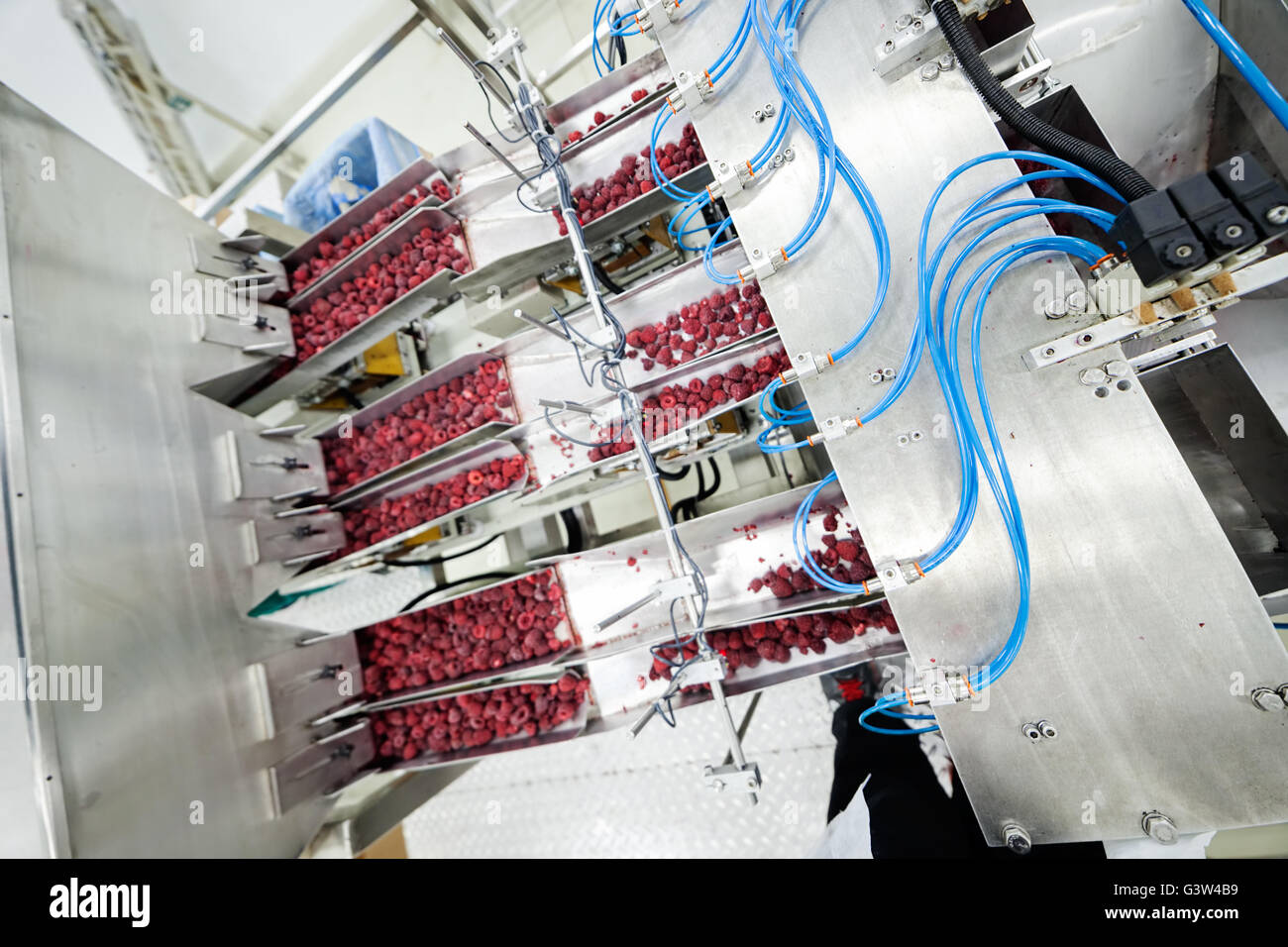 Frozen fruit processing plant hi-res stock photography and images - Alamy