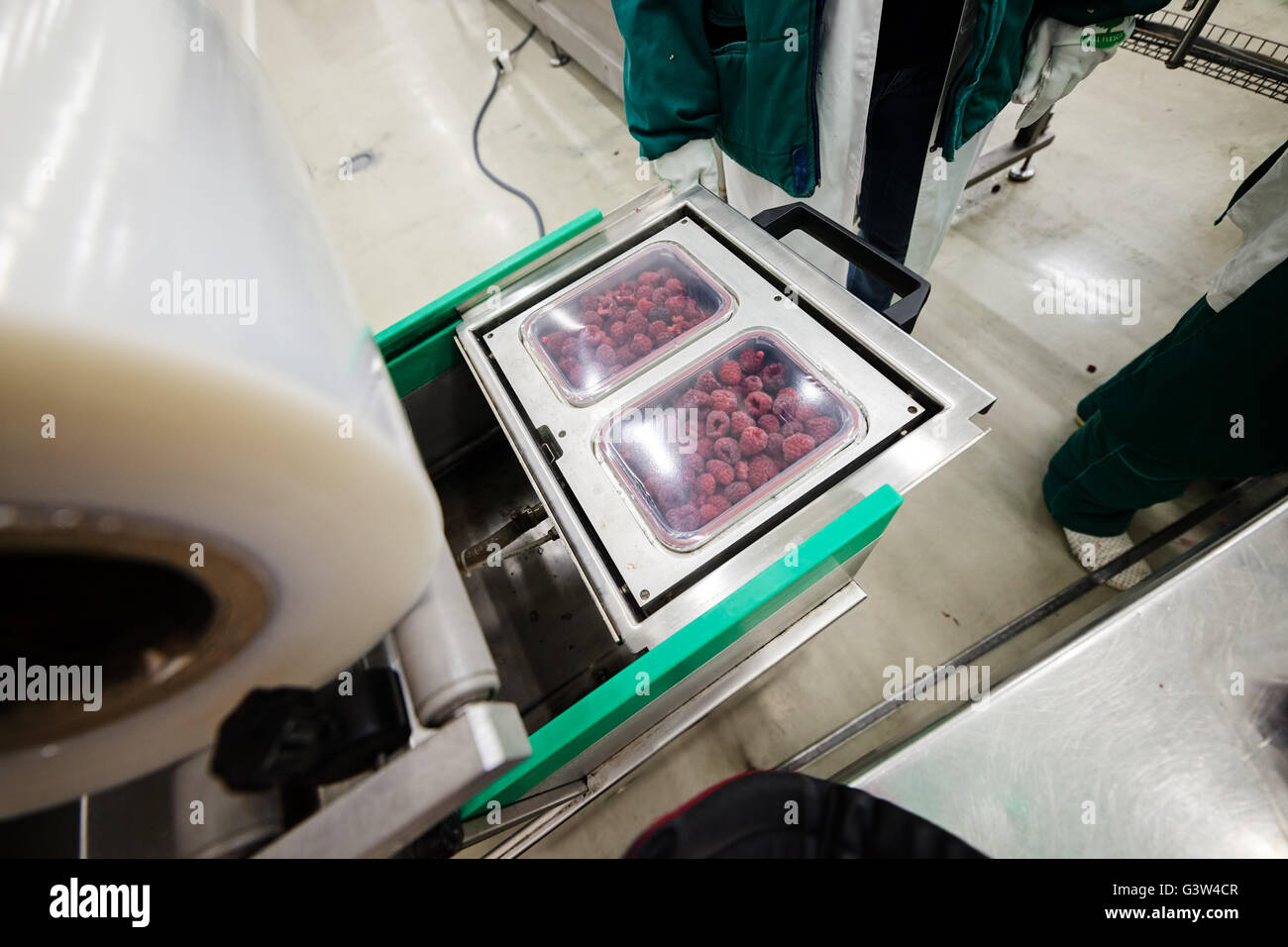 frozen food packing and sorting industry equipment Stock Photo - Alamy