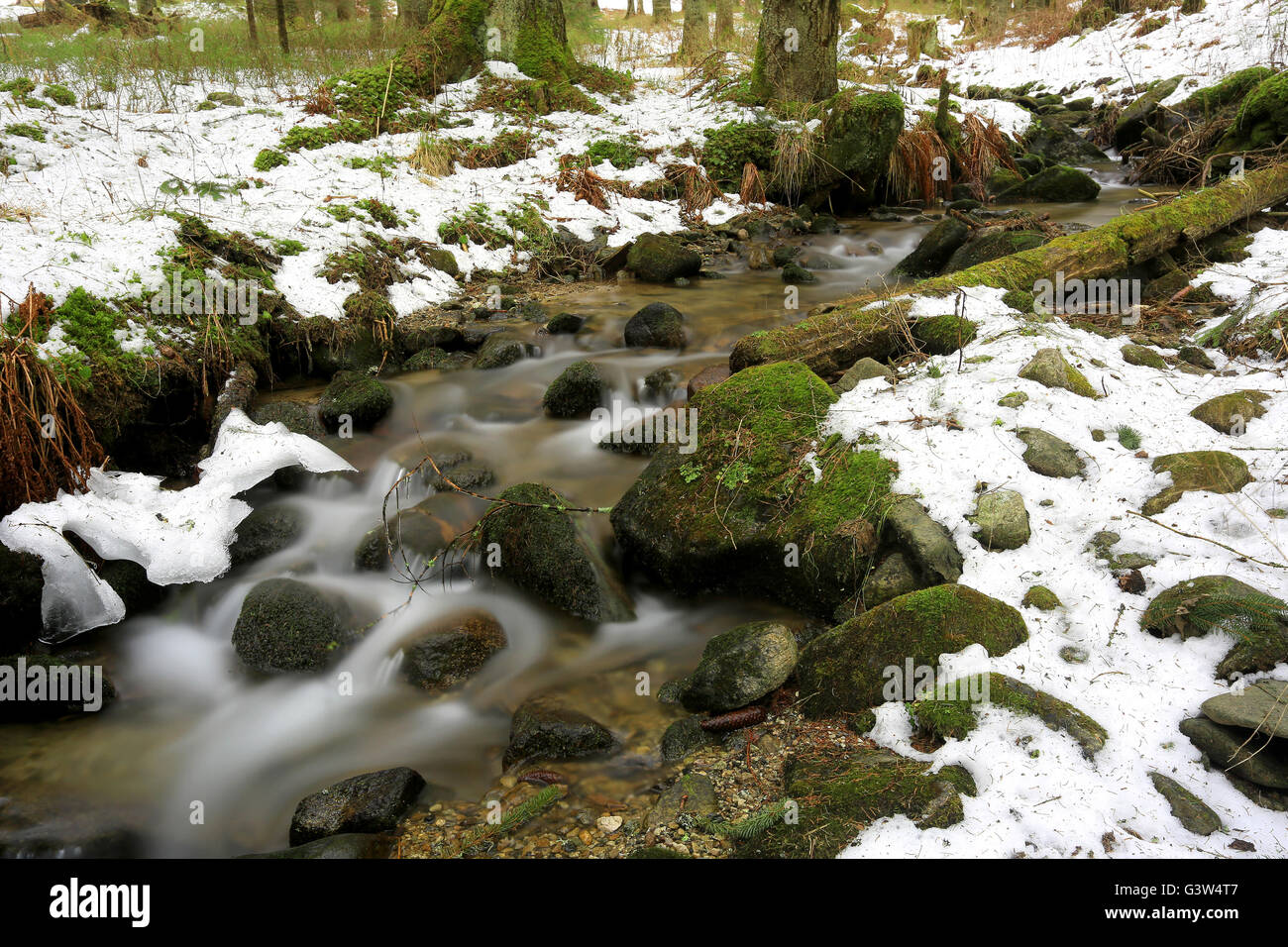 Brook among stones in hi-res stock photography and images - Alamy
