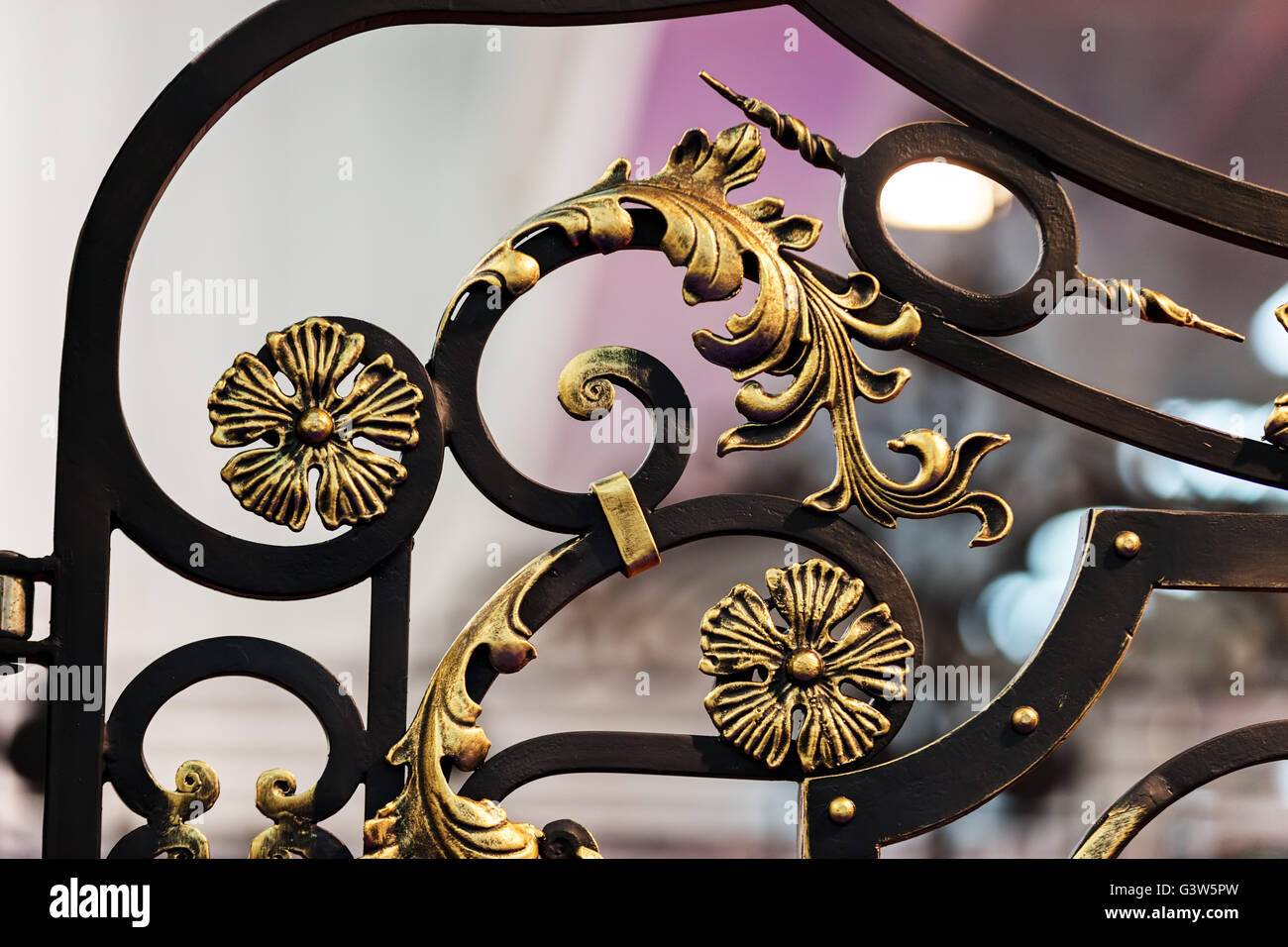 details of structure and ornaments of wrought iron fence and gate Stock ...
